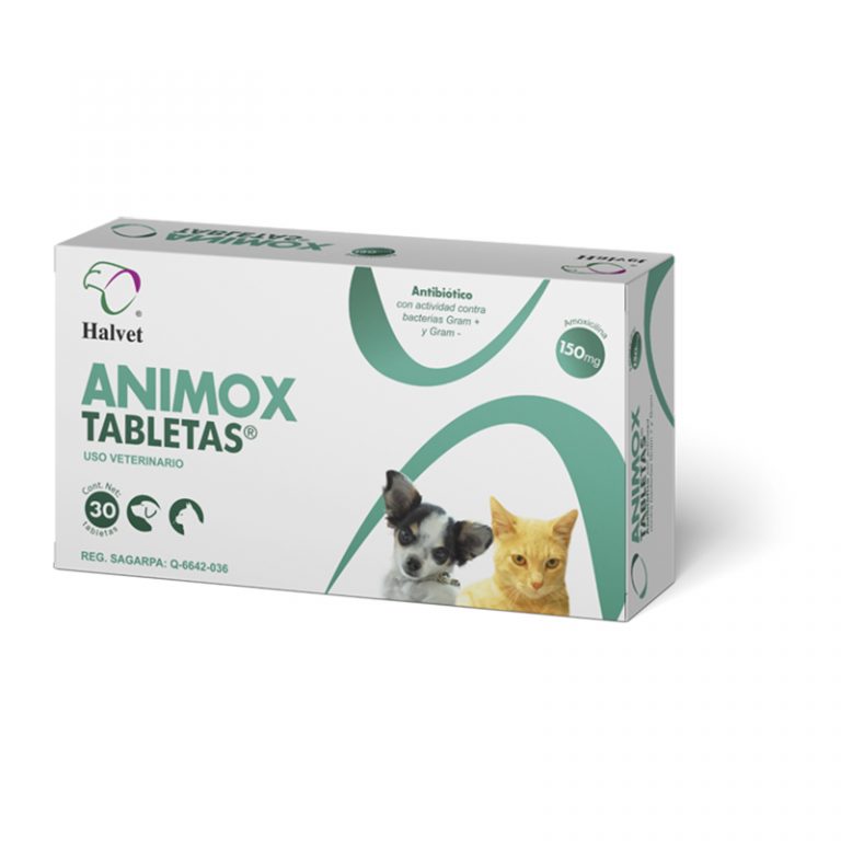 Antibióticos – HALVET