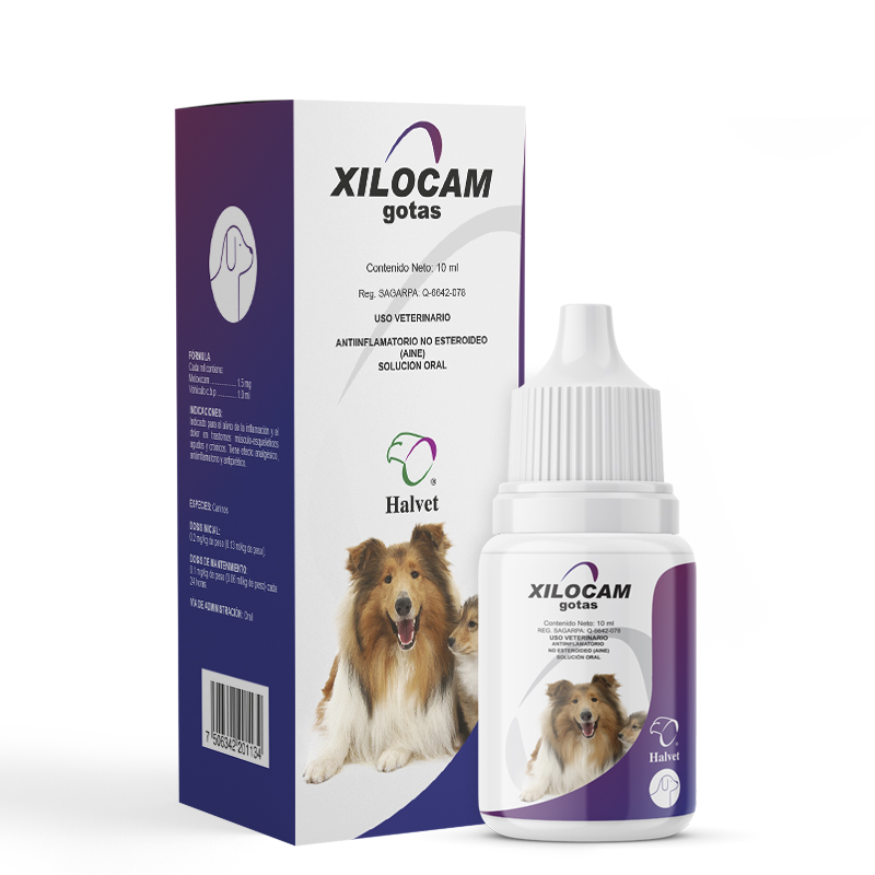 Xilocam Gotas – HALVET