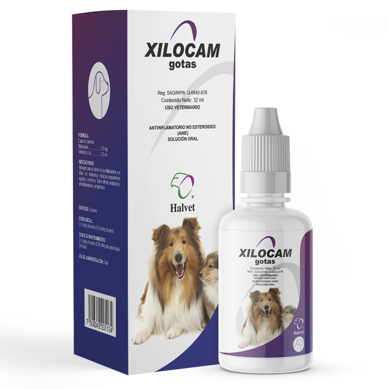 Xilocam Gotas – HALVET