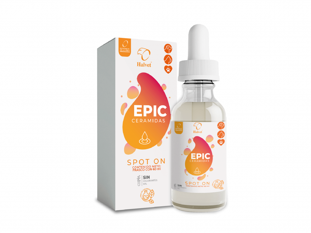 Epic Spot On – HALVET